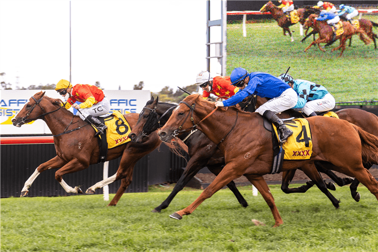 About Our About Us - Starlight Racing Partnerships