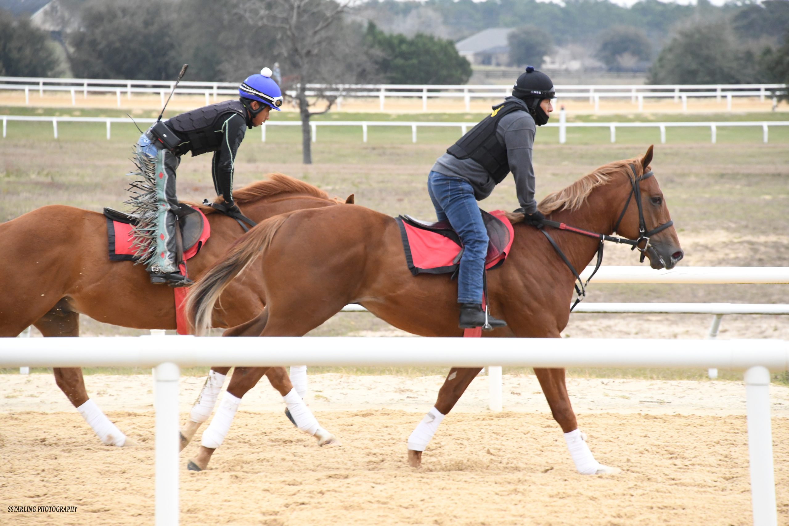 Kalea Bay - Starlight Racing