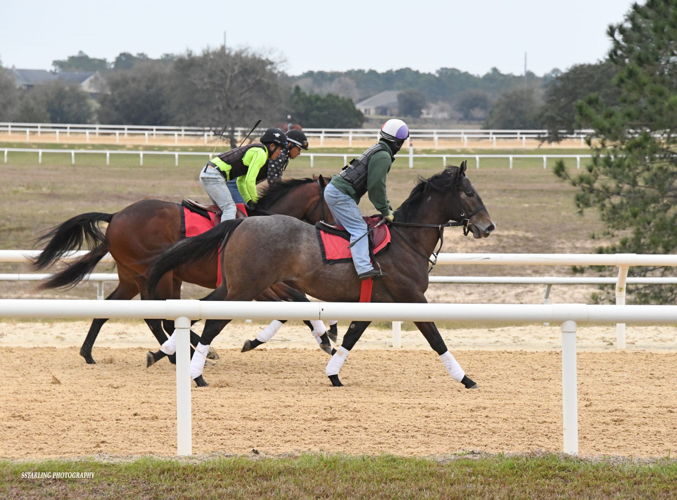 King's Road - Starlight Racing